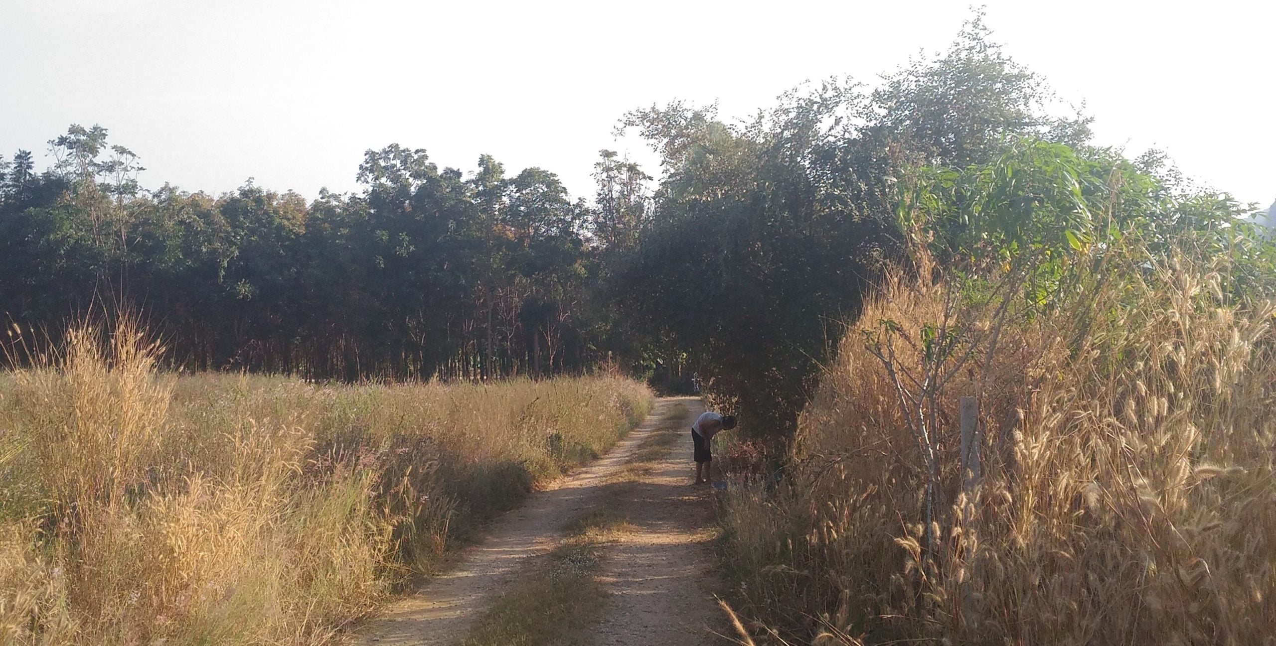 Contact Us - Happy Earth Farm