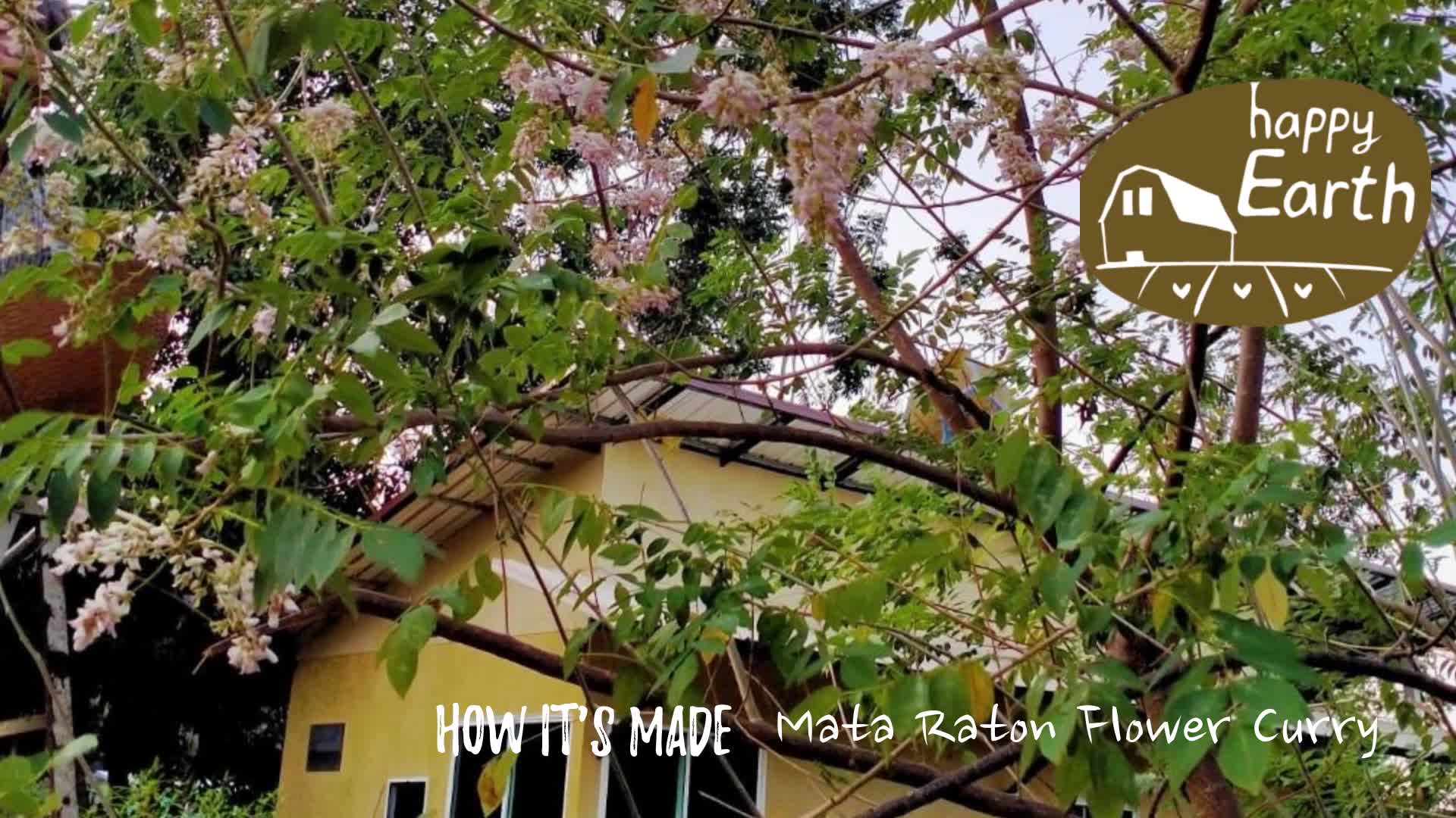 How It's Made: Mata Raton Flower Curry - Happy Earth Farm