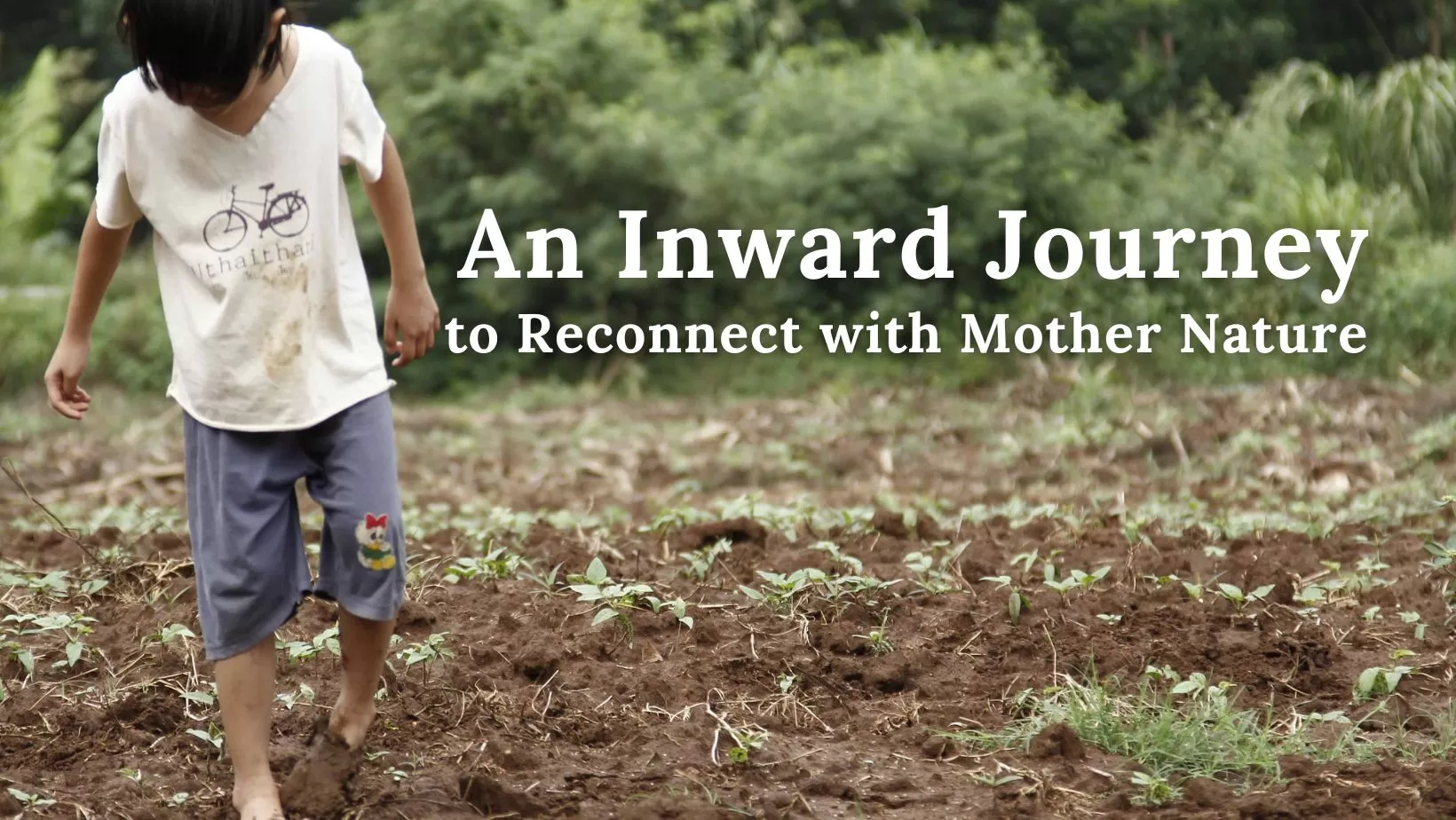 Reconnecting with Mother Nature: A Journey Inward to Experience the ...