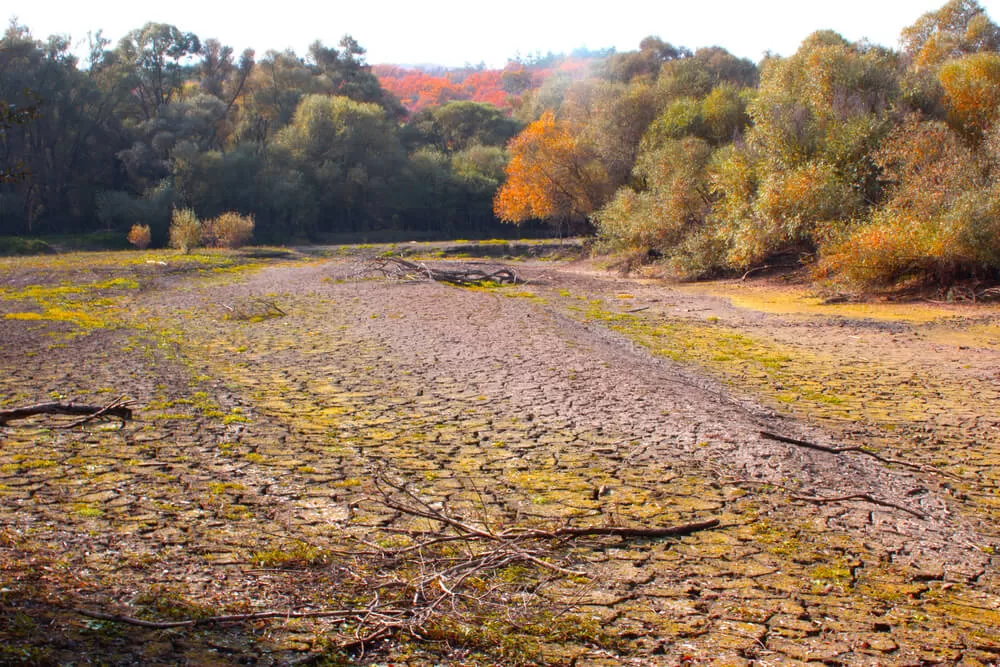 Skin Type: Combination Skin - A Landscape of Contrast - Happy Earth Farm